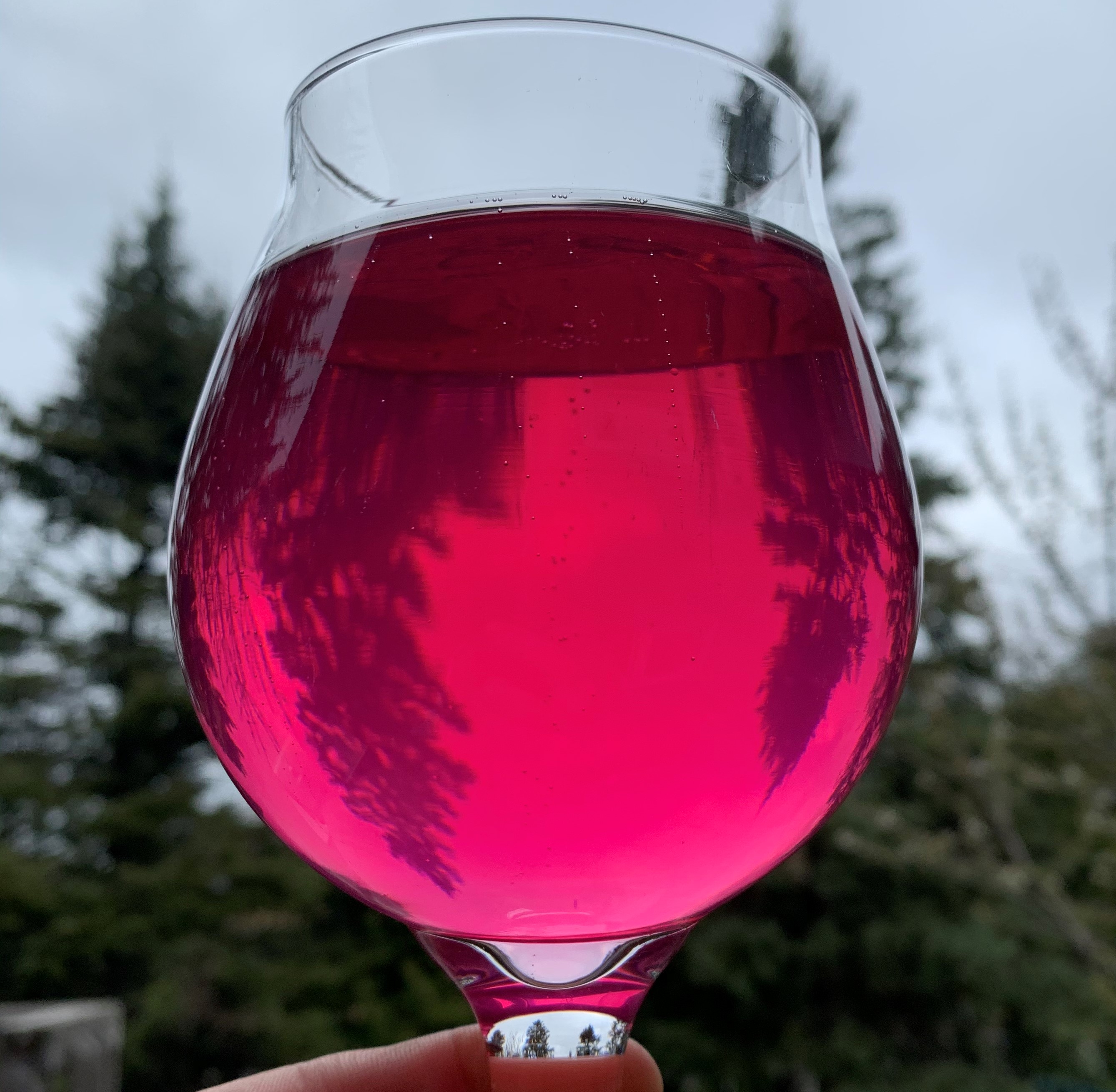 Mead Making | Experimeads